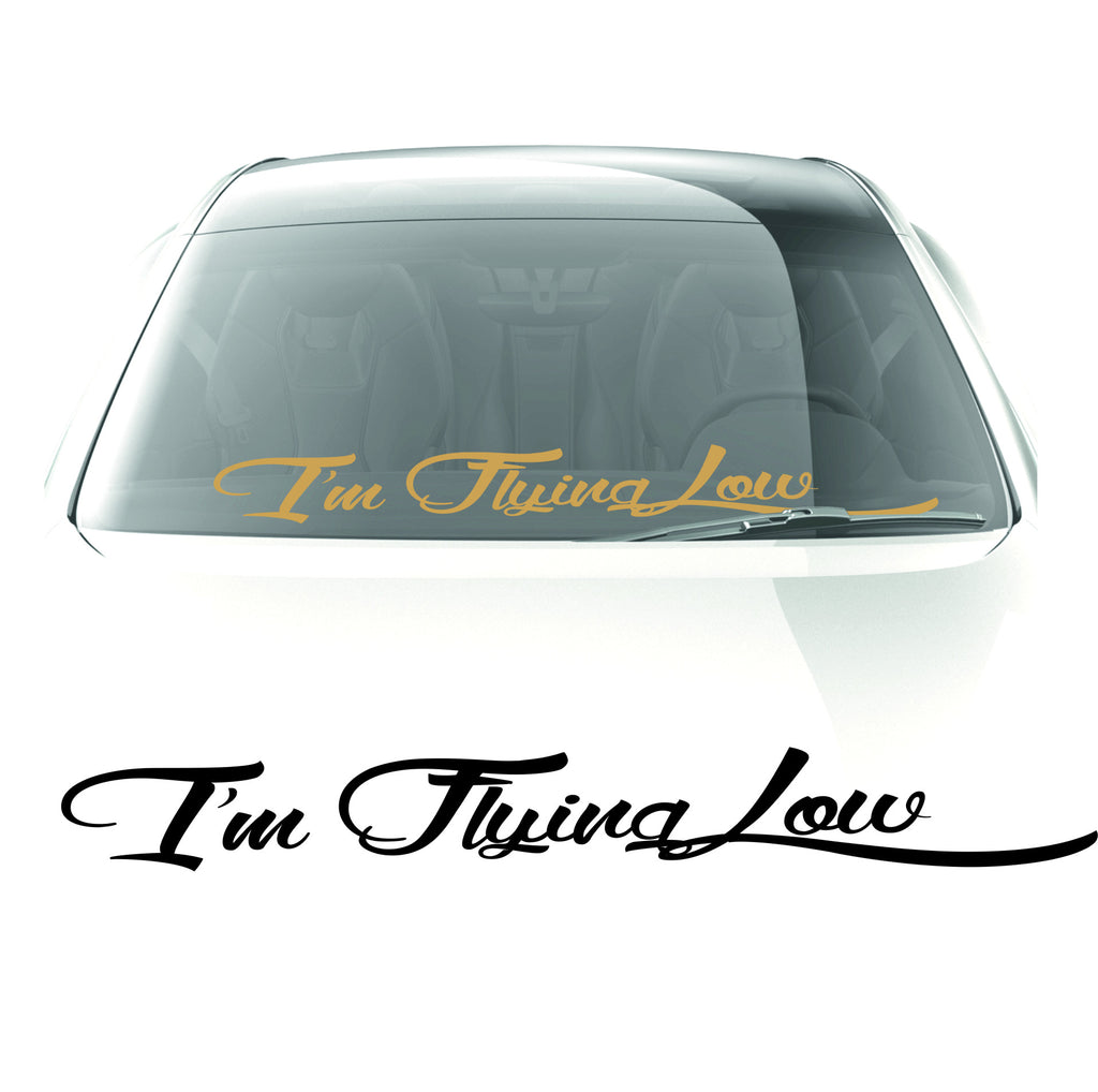 I'm Flying Low sticker – stickyart