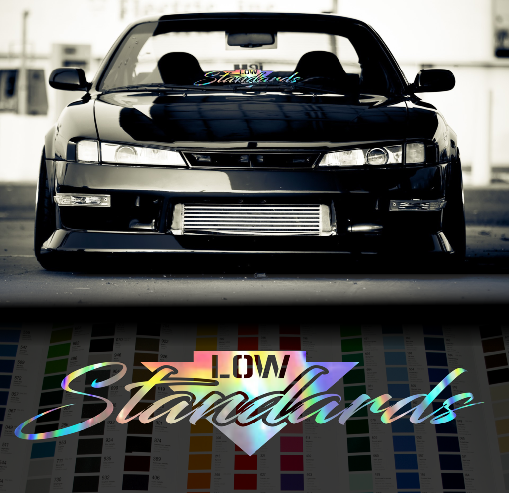 Low Standards decal sticker – stickyart